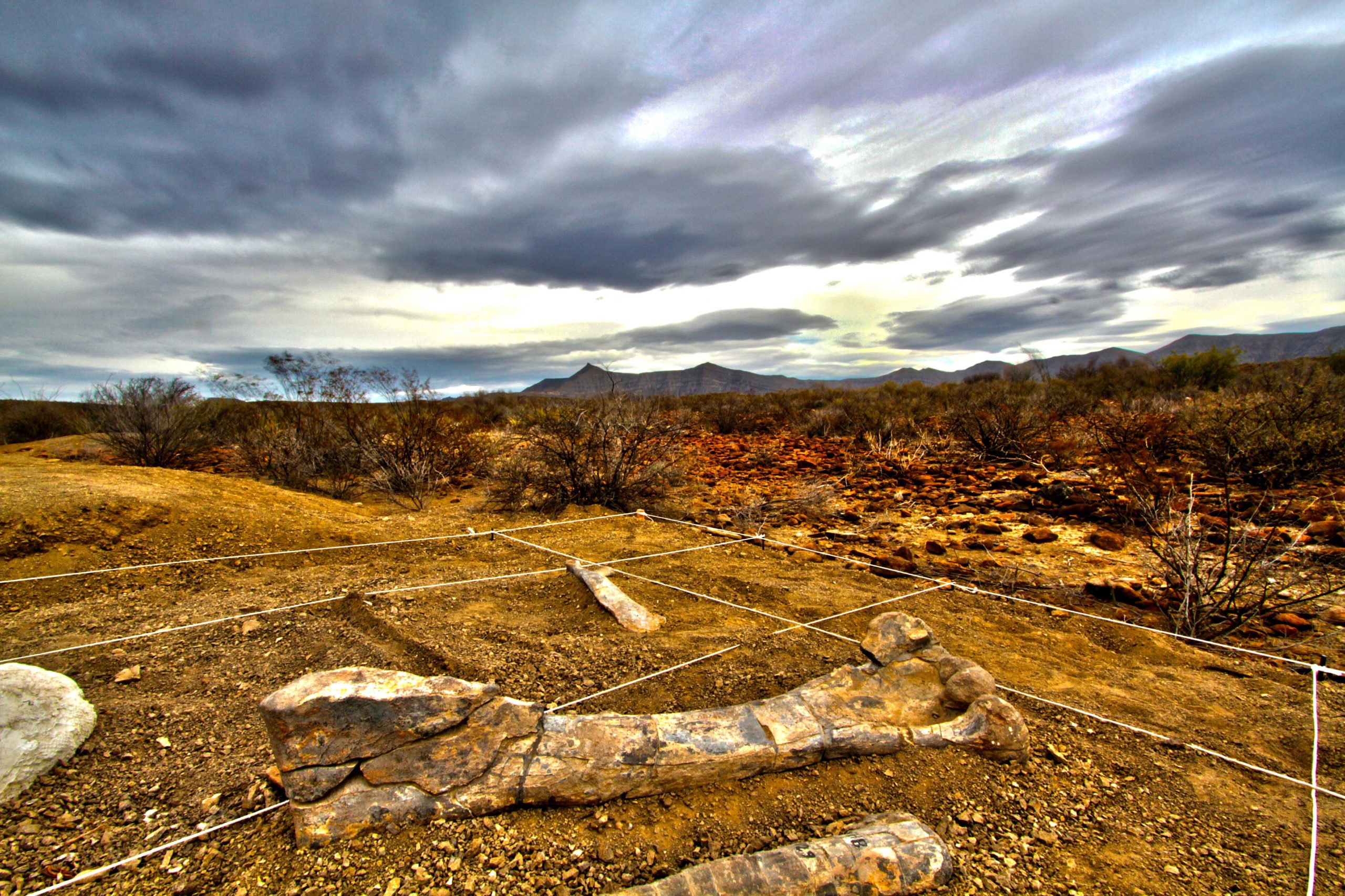 Zona paleontológica Rincón Colorado, Coahuila, México | El Periódico de ...
